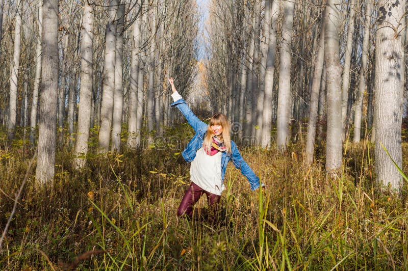 Peaceful Walk through the Forest Stock Photo - Image of outdoor, grey ...