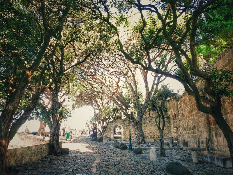 Peaceful walk stock photo. Image of walkway, walk, lisabona - 132348444