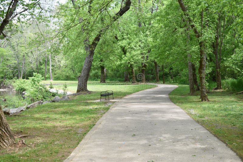 Peaceful Walking Path Lined with Trees in the Countryside of Rural ...