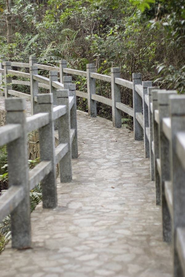 A Peaceful Walkway, Beautiful Forest Path at Hk Editorial Photo - Image ...