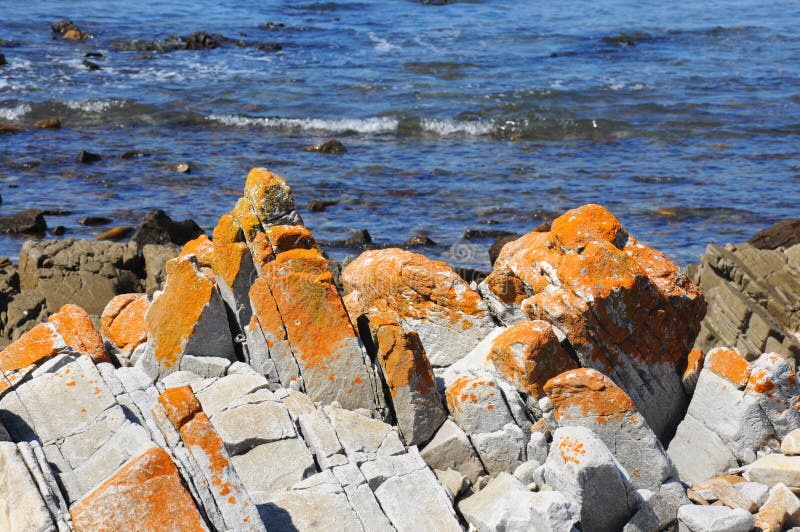 383 Lapping Water Rocks Photos - Free & Royalty-Free Stock Photos from ...