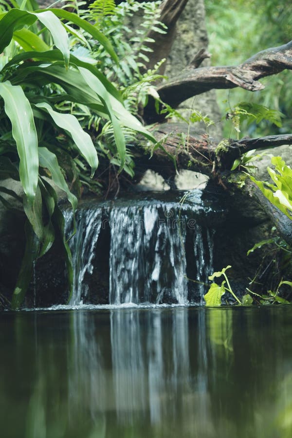 Peaceful Waterfall Cascades in a Green Lush Setting Stock Photo - Image ...