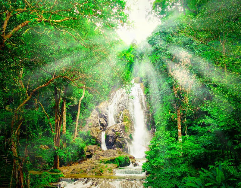 Peaceful waterfall stock photo. Image of color, beautiful - 81841736