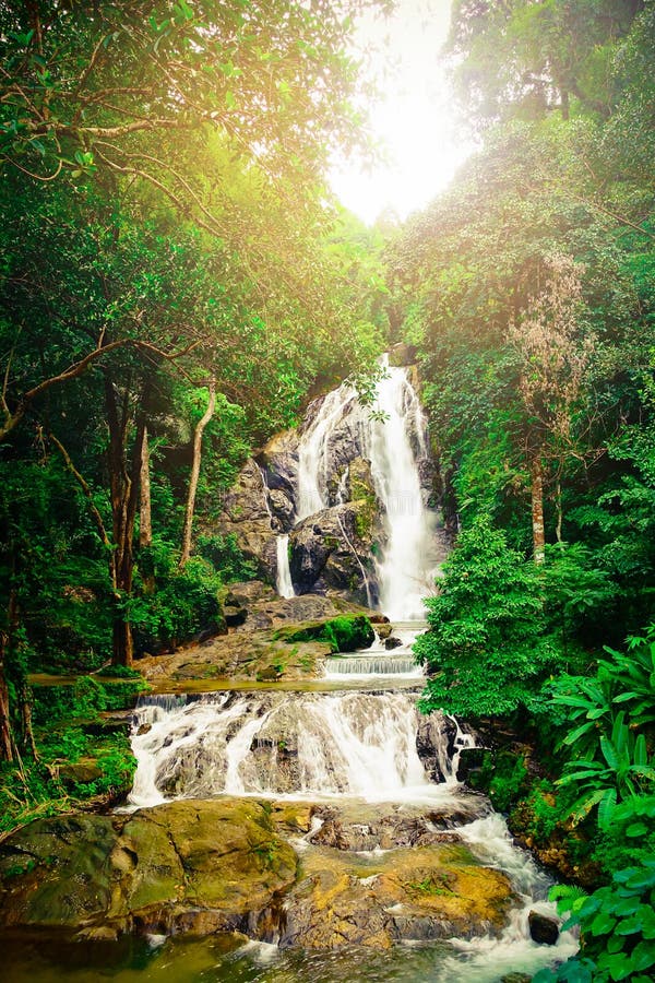 Peaceful waterfall stock image. Image of forest, destination - 81842011