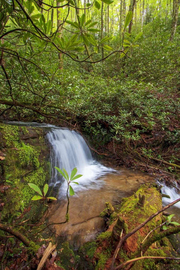 Peaceful Waterfall Hidden in Dense Jungle Stock Photo - Image of beauty ...