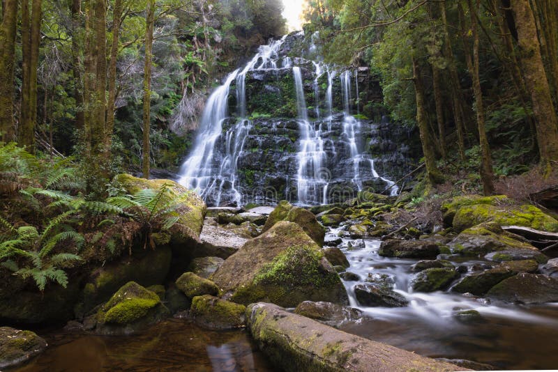 A Peaceful Waterfall in a Rainforest Stock Image - Image of nature ...