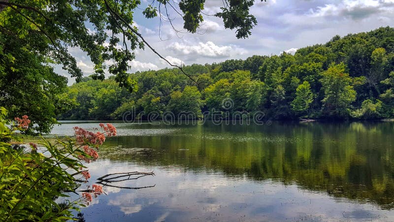 Peaceful Waters stock photo. Image of water, beautiful - 111397750