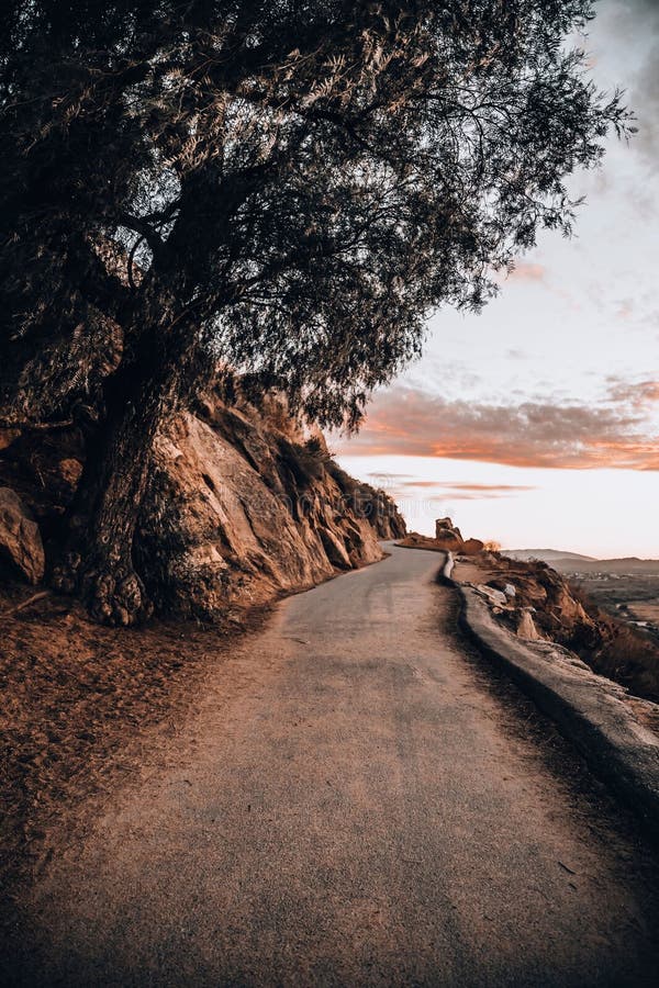 A Narrow Road with Rocks and a Tree on the Side Stock Image - Image of ...