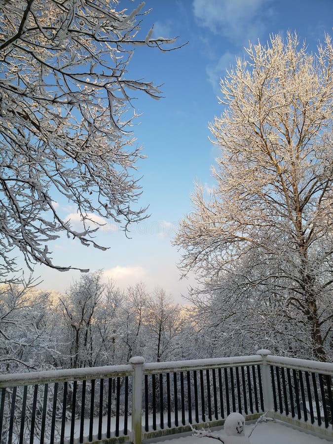 Peaceful Winter Morning stock image. Image of trees - 173884441