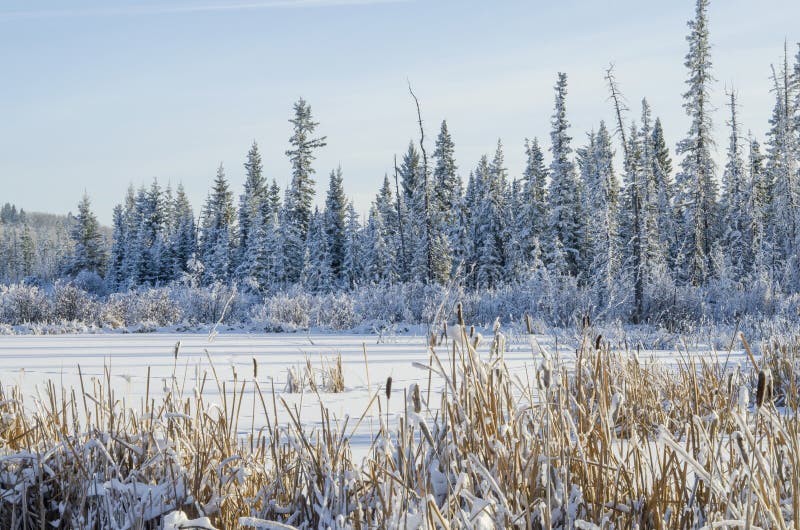 Peaceful Winter Scene stock photo. Image of fresh, card - 28126378