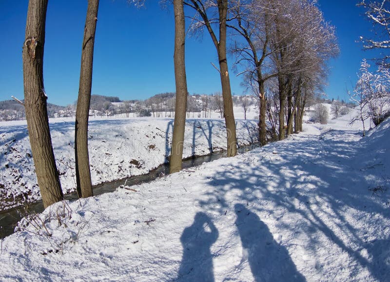 Serene Winter Landscape with Snow-Covered Path and Clear Blue Sky Stock ...