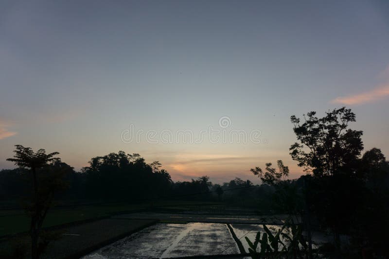 Peacefull morning stock image. Image of forest, nature - 93418337