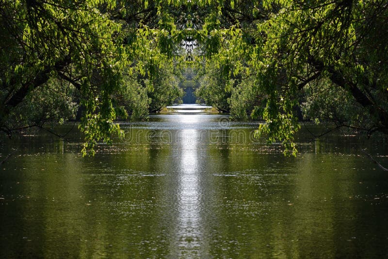 Peacefull Water Channel Scene Stock Photo - Image of flooded, flying ...