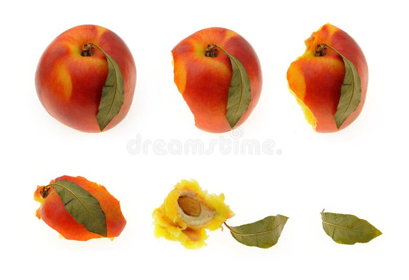 Peach stock photo. Image of split, juicy, nutrition, isolated - 16611528
