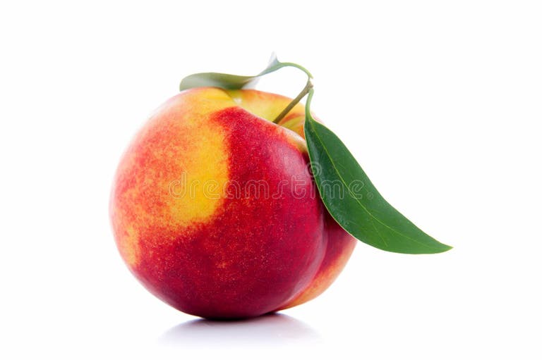 317,286 Filedot Peach Stock Photos - Free & Royalty-Free Stock Photos ...