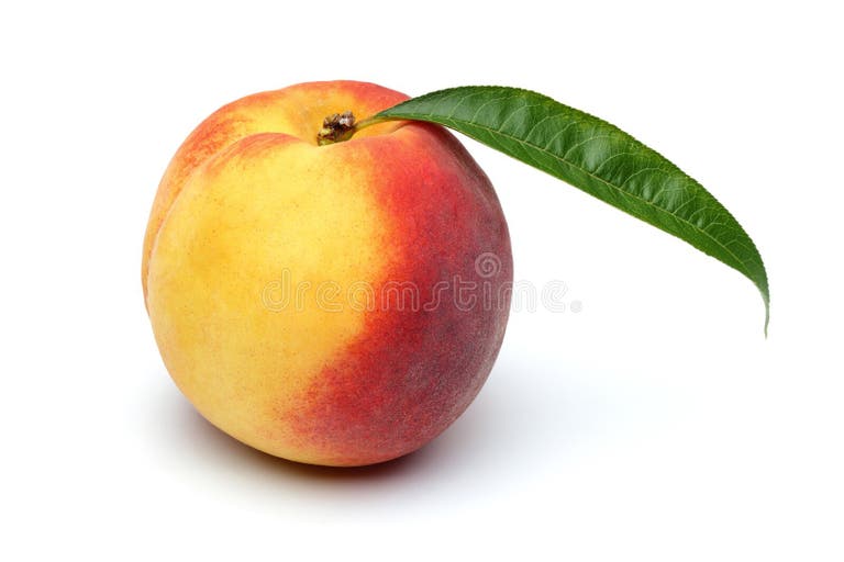 317,286 Filedot Peach Stock Photos - Free & Royalty-Free Stock Photos ...