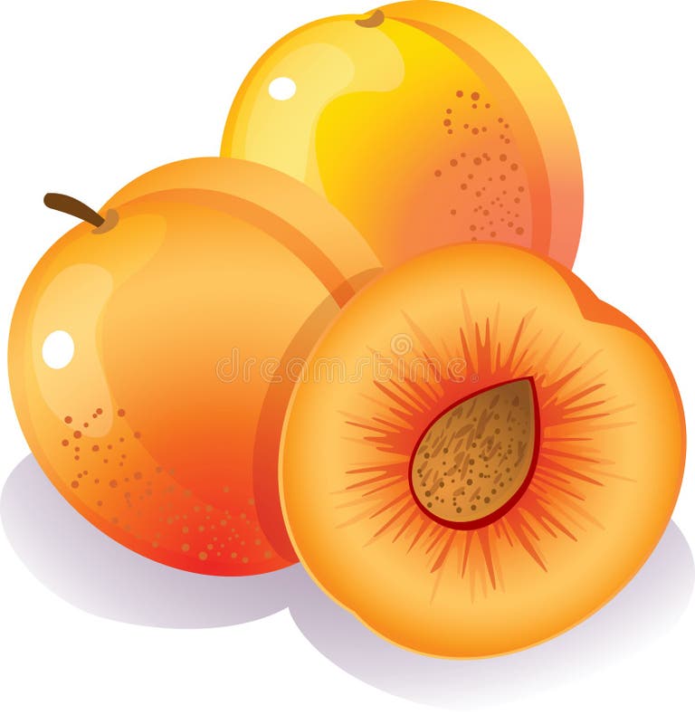 Three Peaches Vector Illustration Stock Illustrations – 40 Three ...