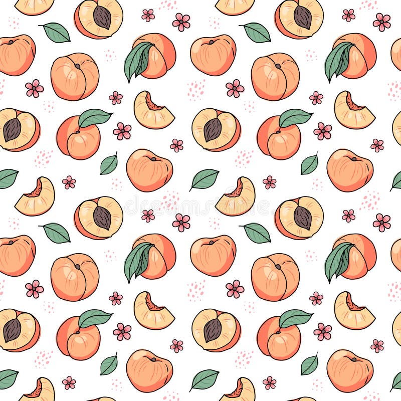 Peach or Apricot Hand Drawn Seamless Pattern. Vector Illustration in ...