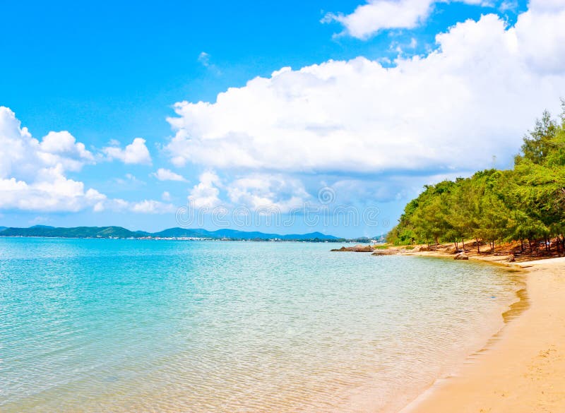 Peach beach in summer stock image. Image of landscape - 30896965