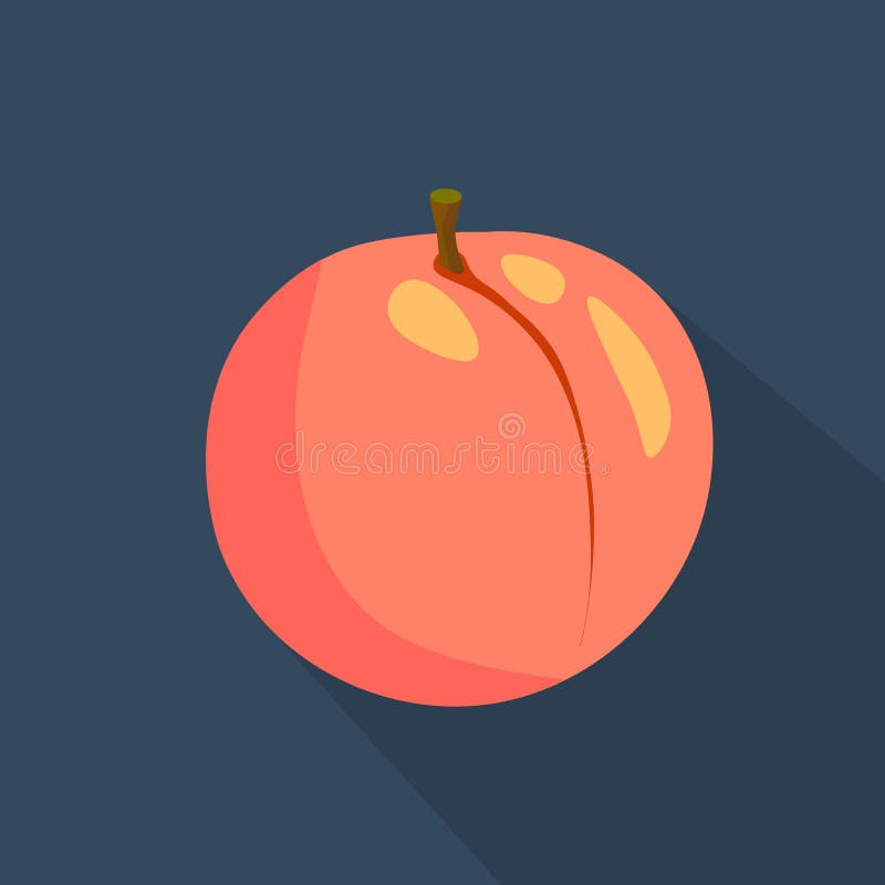 Peach Cartoon Flat Icon.Dark Blue Background. Vector Illustration ...