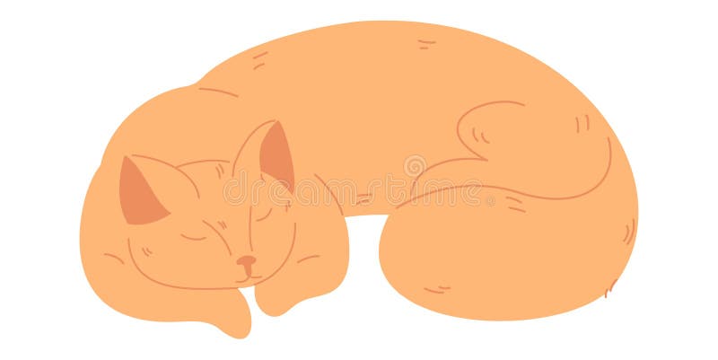 Peach Cat Sleeping Isolated on White. Cartoon Vector Illustration Stock ...