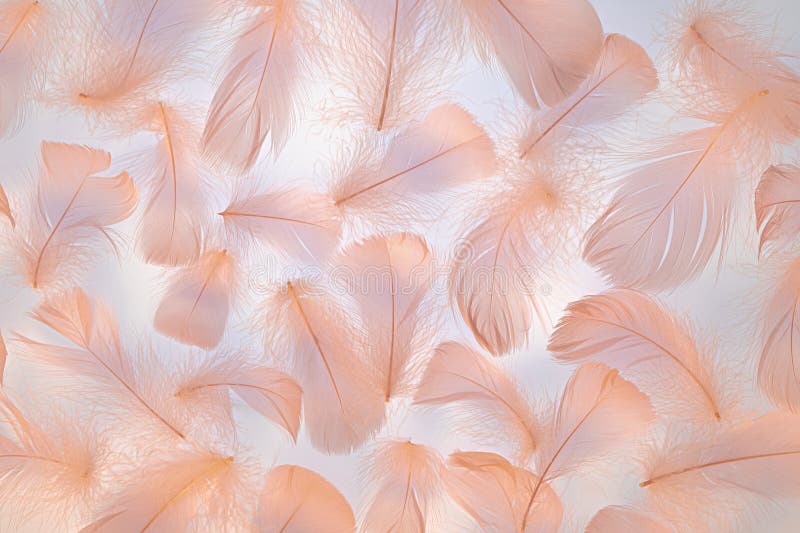 Peach Colored Fluffy Feathers Texture. Color of the Year 2024 ...