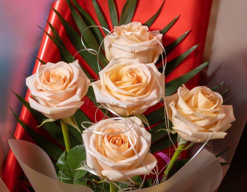 Peach-colored Roses are Collected in a Beautiful Gift Bouquet Stock ...
