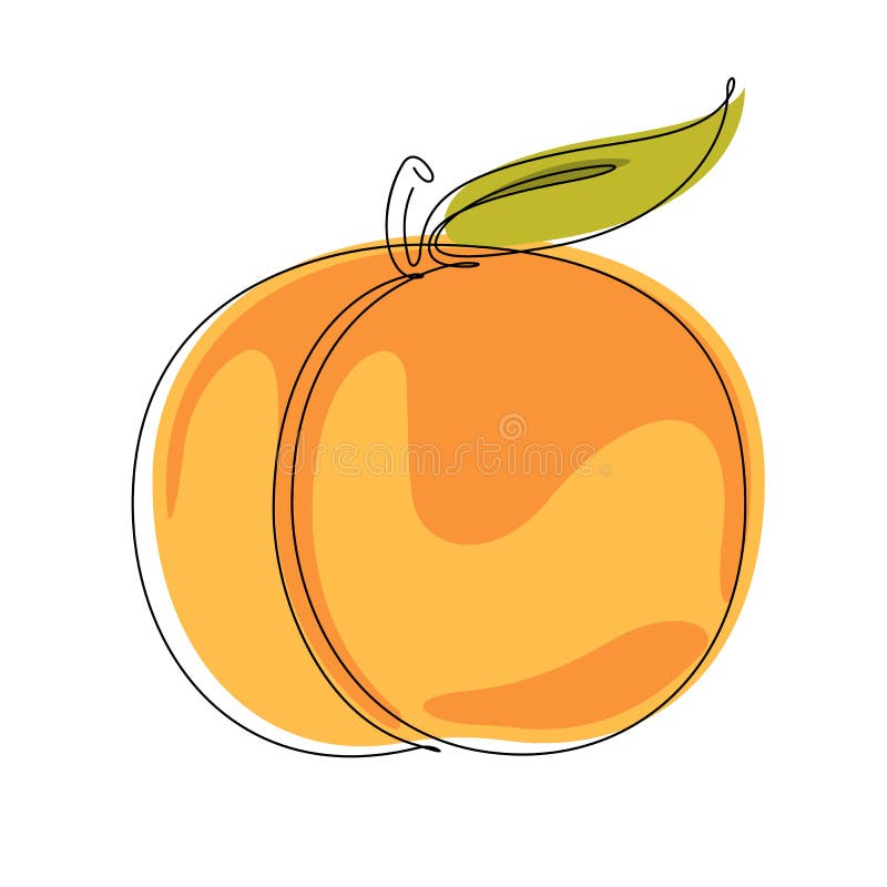 Peach Continuous Line Drawing, Minimalistic Linear Illustration. Vector ...