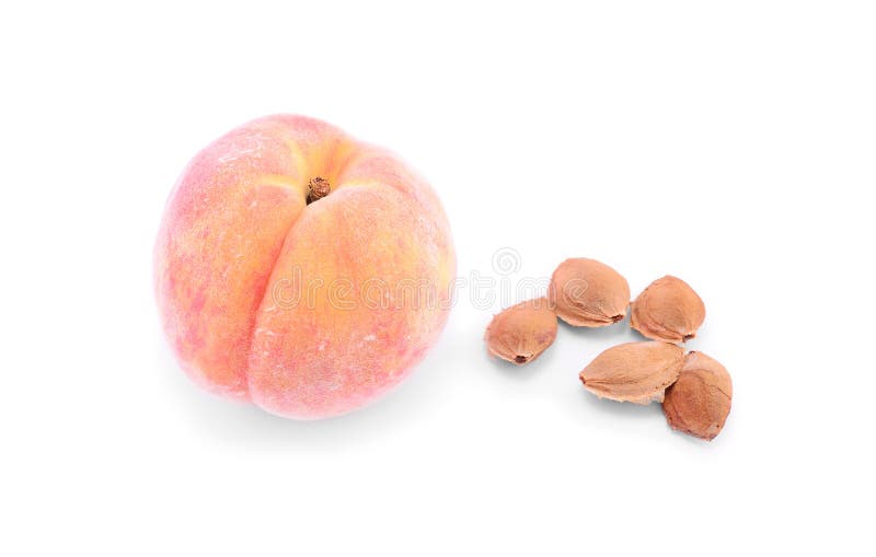 833 Peach Core Isolated White Stock Photos - Free & Royalty-Free Stock ...