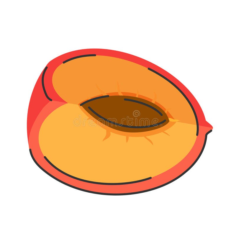 Peach Cut in Half with Pit Exposed. Bright and Simple, Top View ...