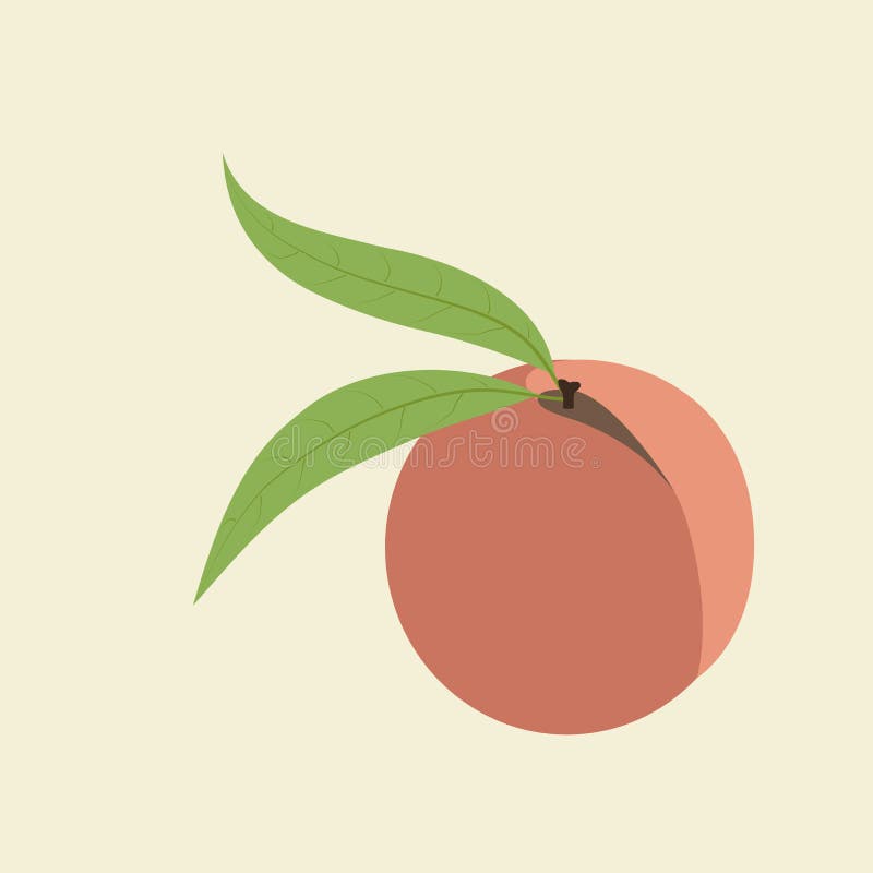 Peach Tree Icon stock vector. Illustration of healthy - 83949694