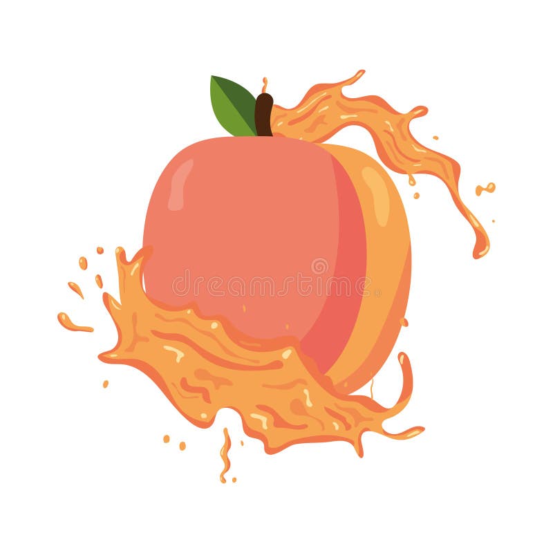 Peach fruit splash stock vector. Illustration of fruit - 212449471