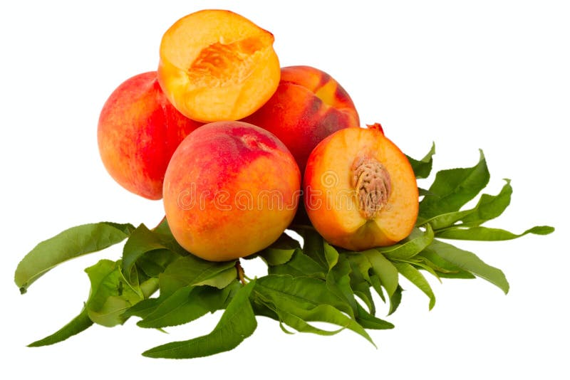 Peach fruits stock photo. Image of agricultural, stem - 21060554