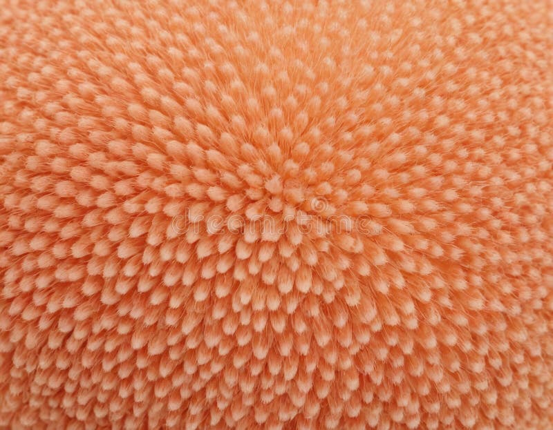 Peach fuzz texture design stock illustration. Illustration of ...
