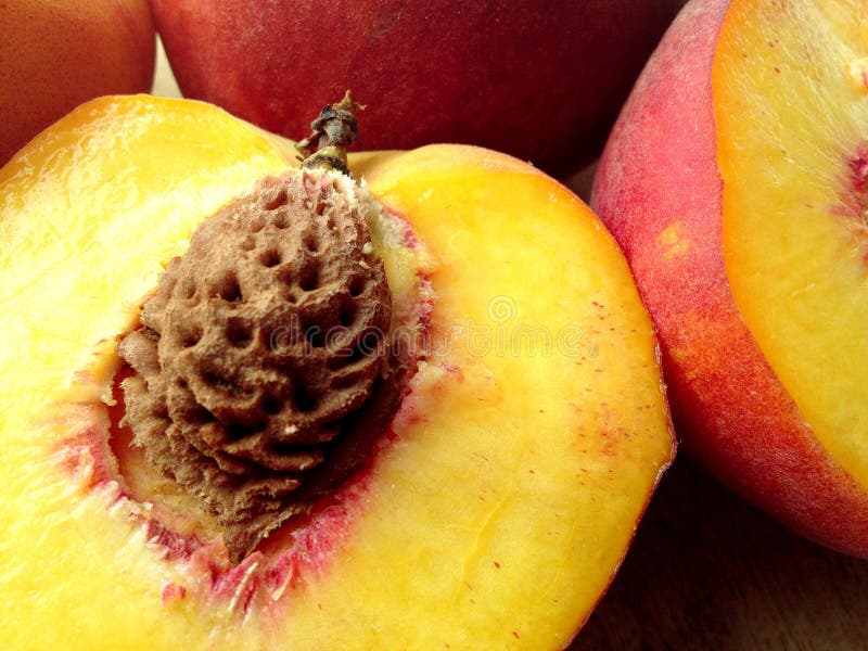 Peach half close up stock image. Image of peaches, closeup - 32822105