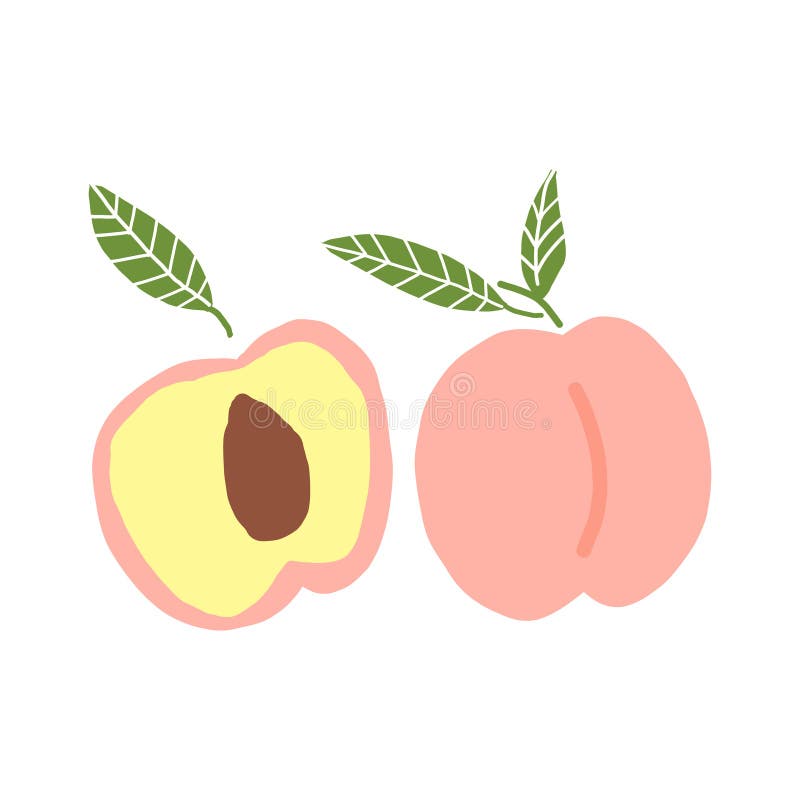 Peach and Half Hand Drawn Doodle. , Minimalism. Food, Fruit, Print ...