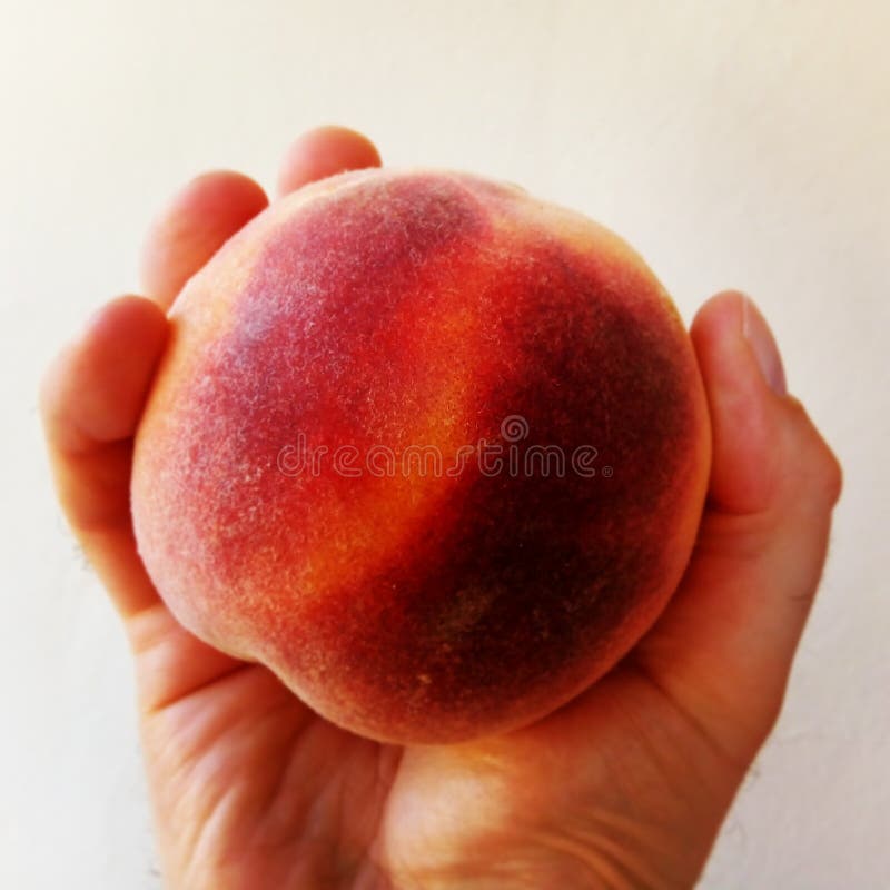 Peach stock image. Image of fruit, peach, fresh, hand - 126533939