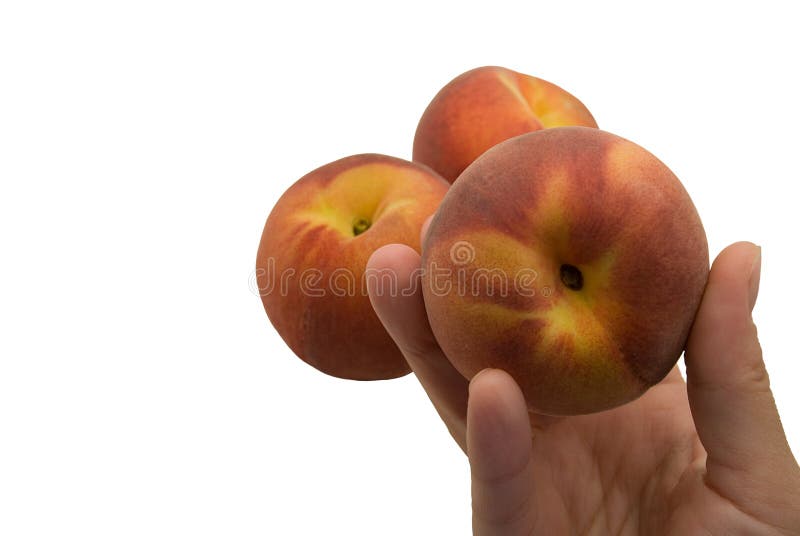 Peach In Hand Picture. Image: 5885946