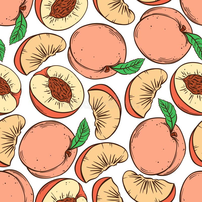 Peach, Hand Drawn Sketch Linen Vector Illustration Stock Vector ...