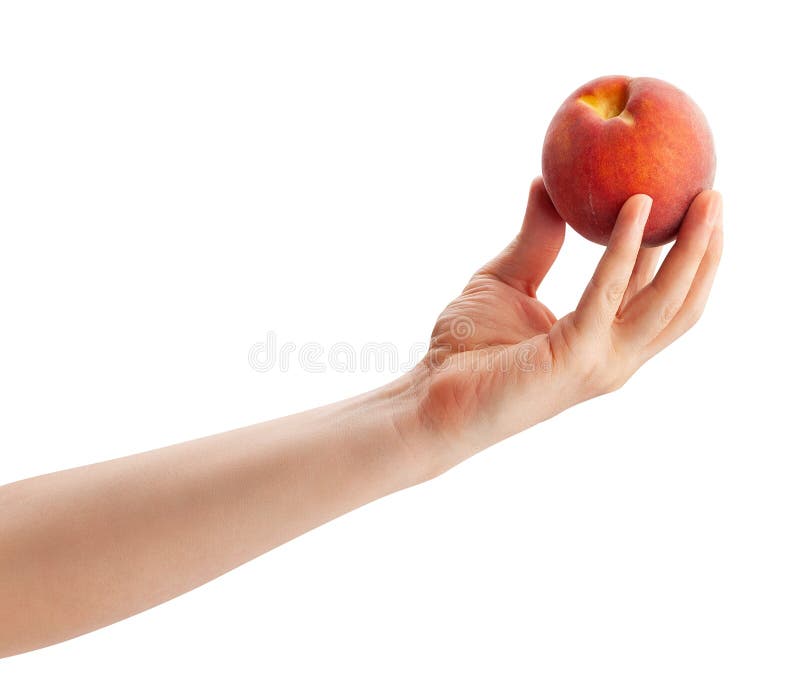 Peach in hand stock photo. Image of ripe, produce, holding - 211872896