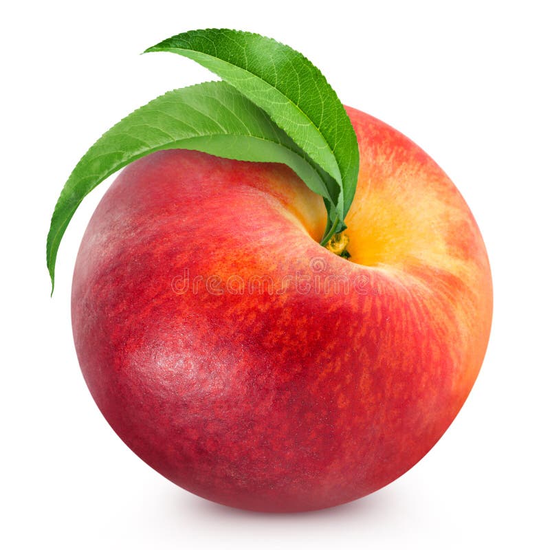 Beautiful Whole Peach and Split on White Stock Image - Image of leaf ...
