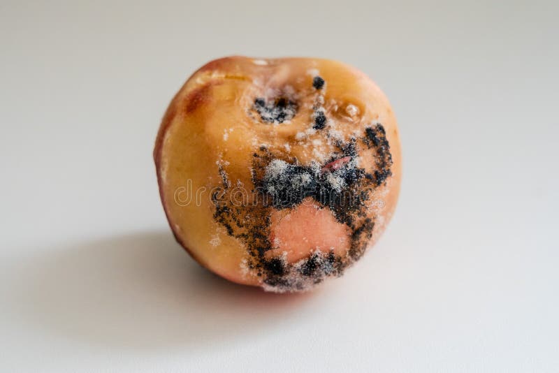 Rotten Peach Cut Stock Photos - Free & Royalty-Free Stock Photos from ...