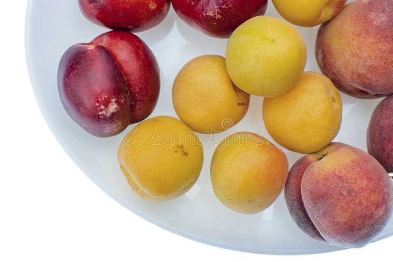 Peach, Nectarine and Apricot on White Plate Stock Image - Image of ...