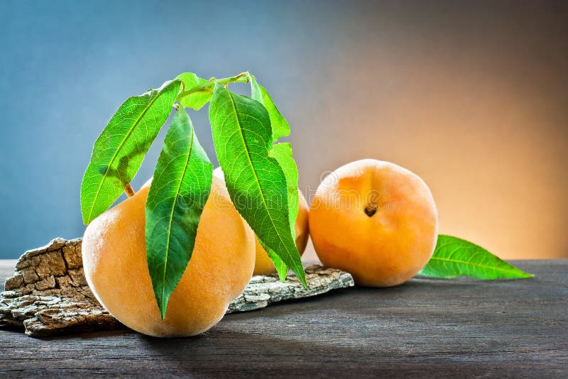 Peach on old wood stock photo. Image of leaf, group, summer - 23356486