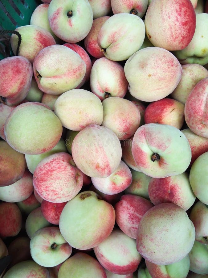 Peach stock image. Image of botany, basket, business - 118718309