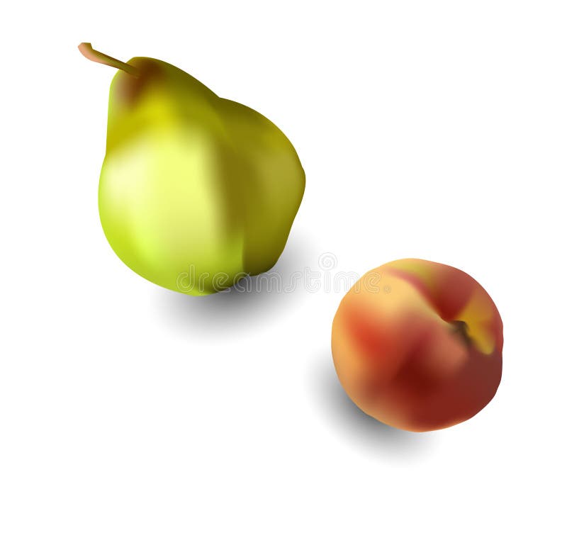 Peach pear stock vector. Illustration of vector, object - 105440242