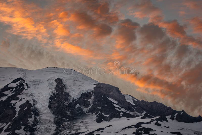 Peach and Pink Tinged Flowers Over Mount Rainier Stock Photo - Image of ...