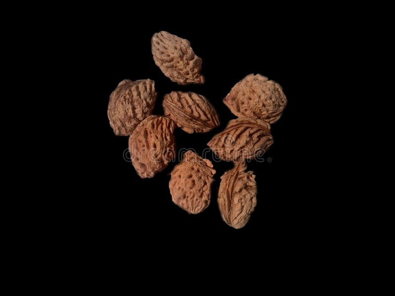 A Peach Pit on a Black Background Stock Photo - Image of nectarine ...