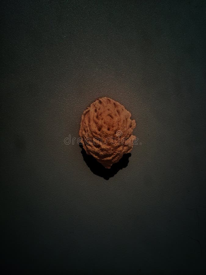 A Peach Pit on a Black Background Stock Photo - Image of tasty, seed ...
