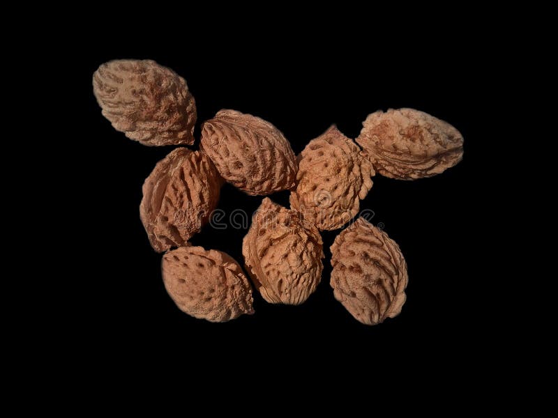 A Peach Pit on a Black Background Stock Image - Image of apricot ...